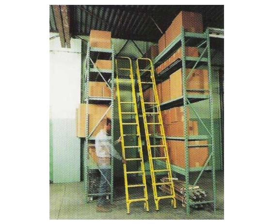 Dual Trak Ladder System