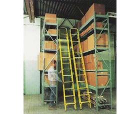 Dual Trak Ladder System